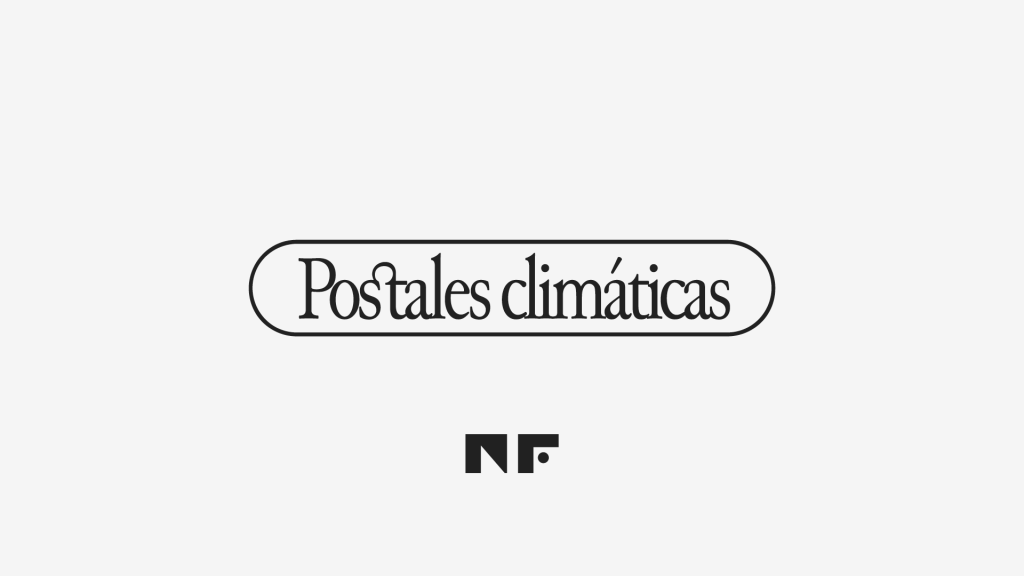 Basureros de agua • No Ficción